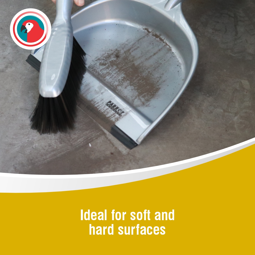 Janitorial Dustpan and Brush – Dilo Distributors Online Shop